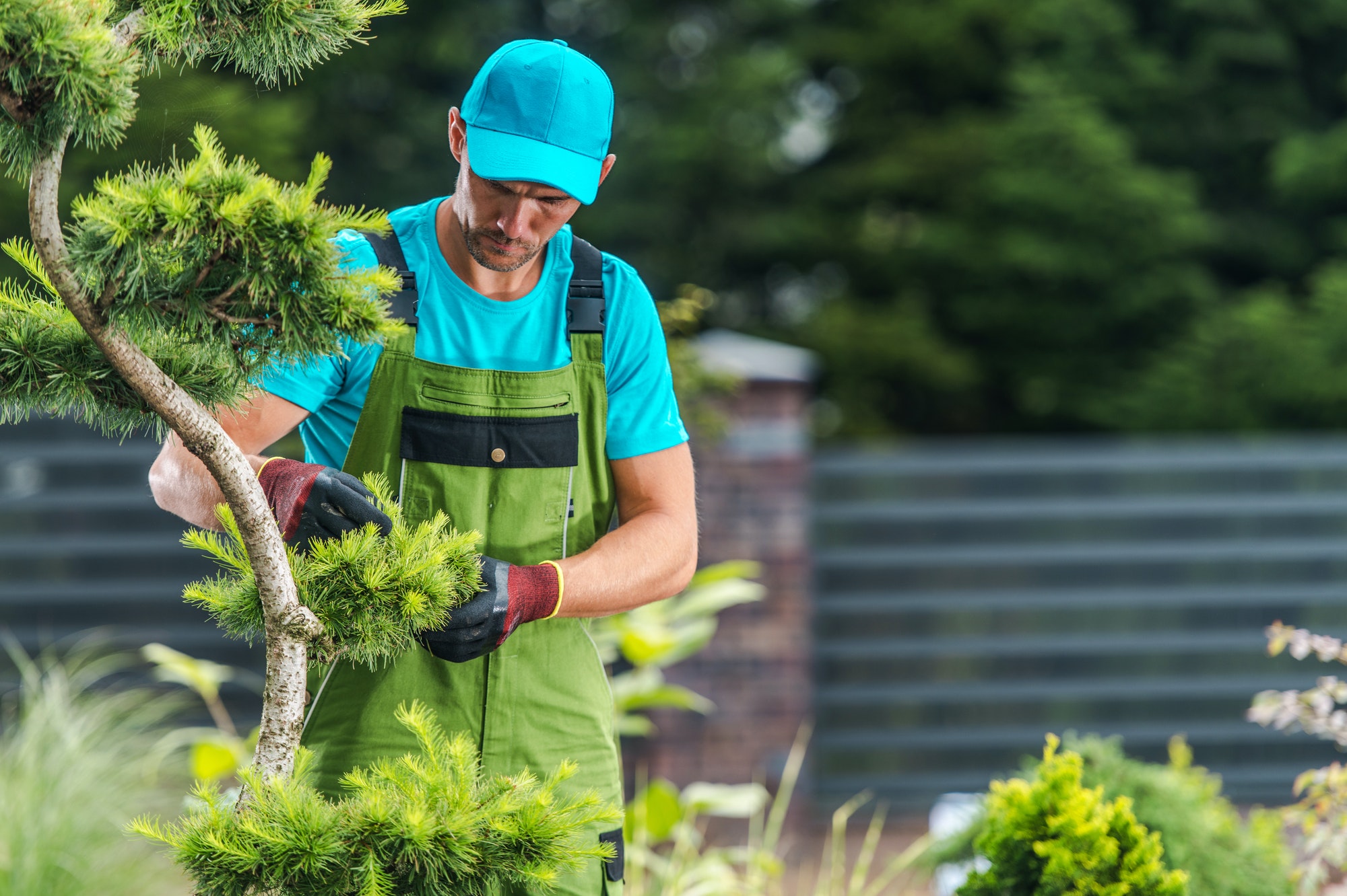 Best Landscaping and Maintenance in Rochester | Gorski Landscaping ...